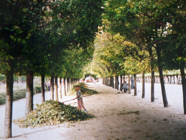Paris strong, Paris beautiful | Architecture Here and There