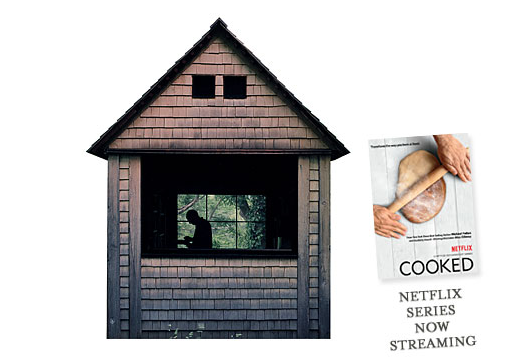 Pollan deconstructs design | Architecture Here and There